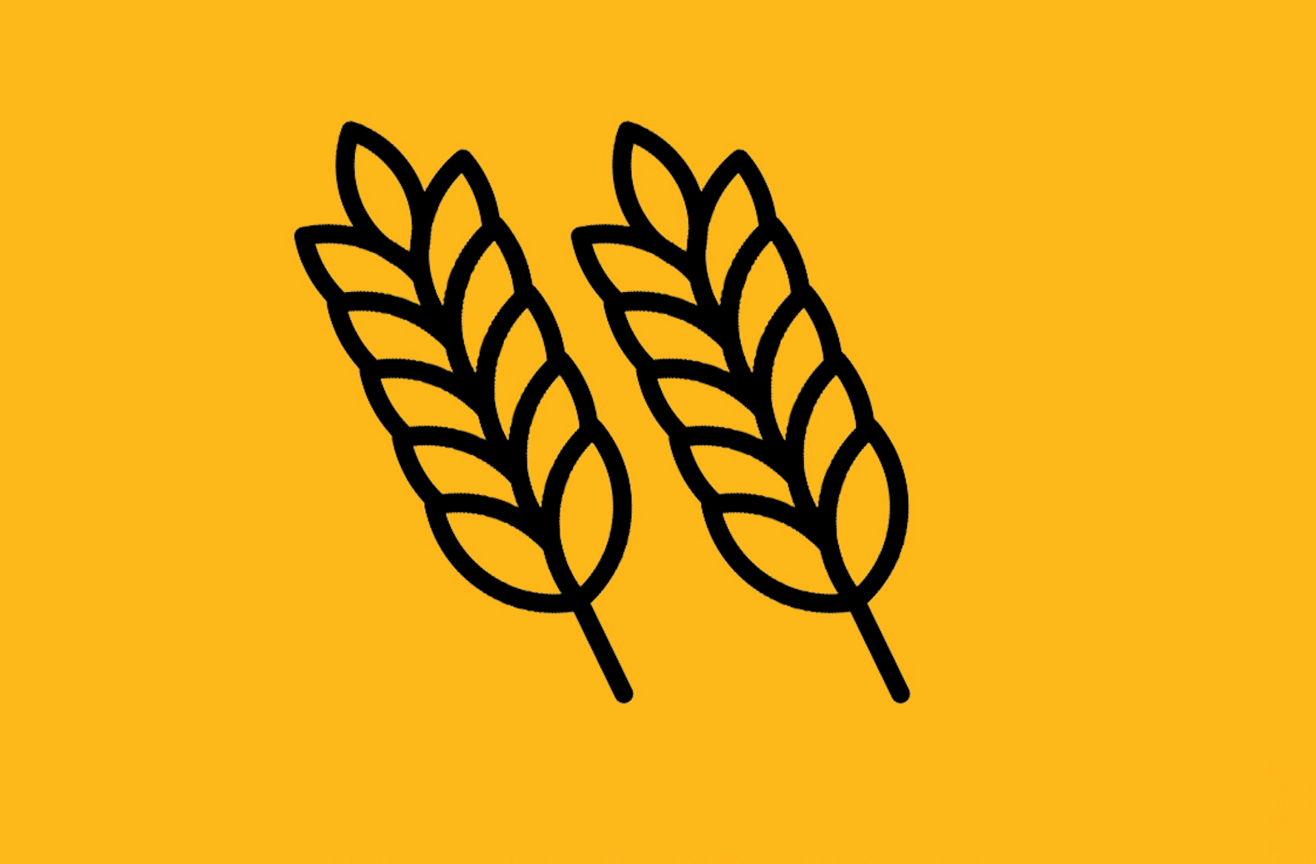 Essential Baking Collection – Organic Sourdough & Loaves – The ...